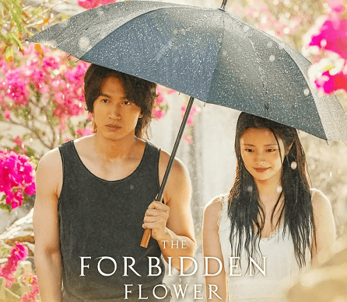 Final Explicado del drama Chino Forbidden Flower o Flor Prohibida
